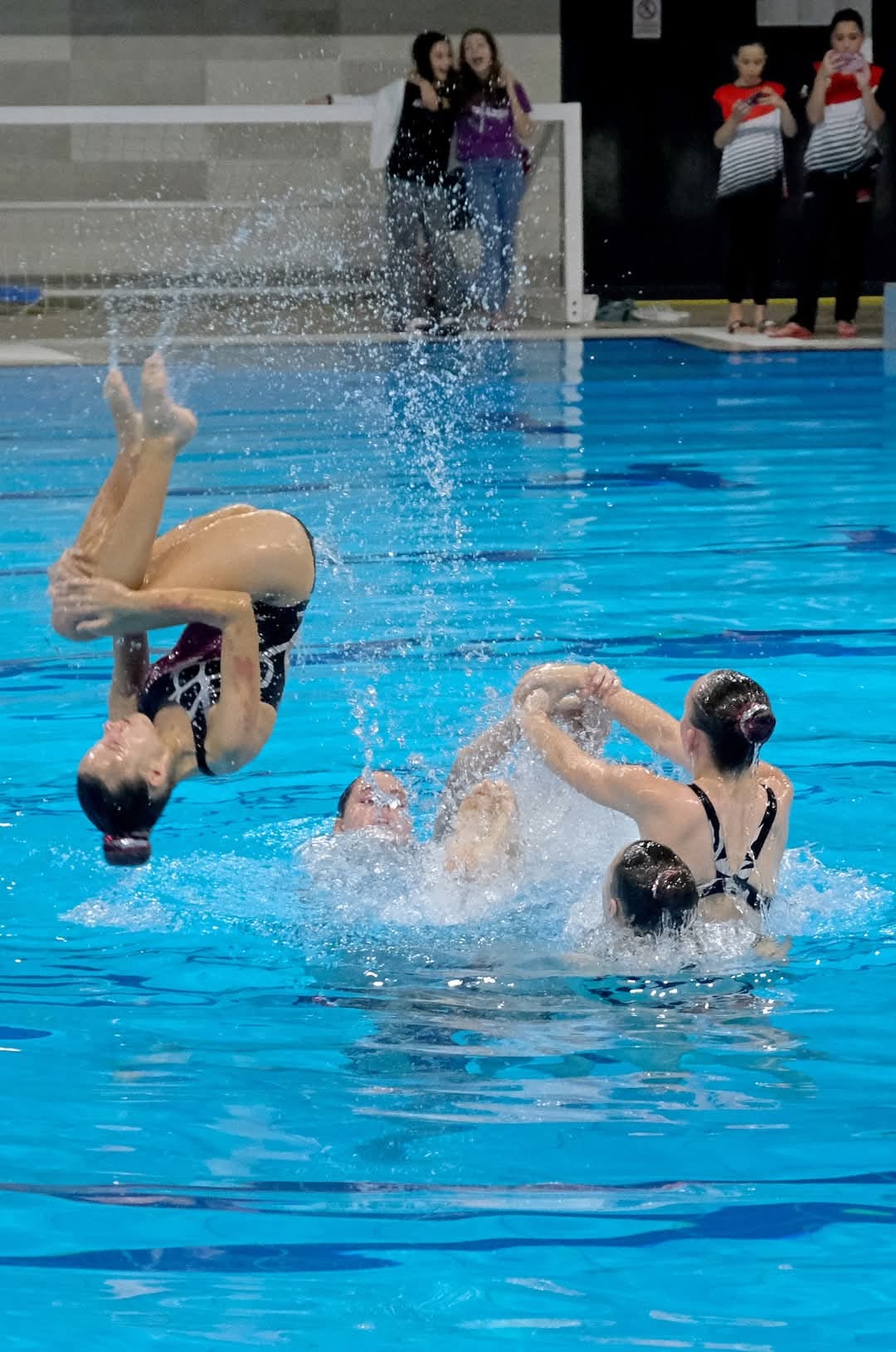 Sirenele Torpi au obtinut 30 de medalii la concursul național ...